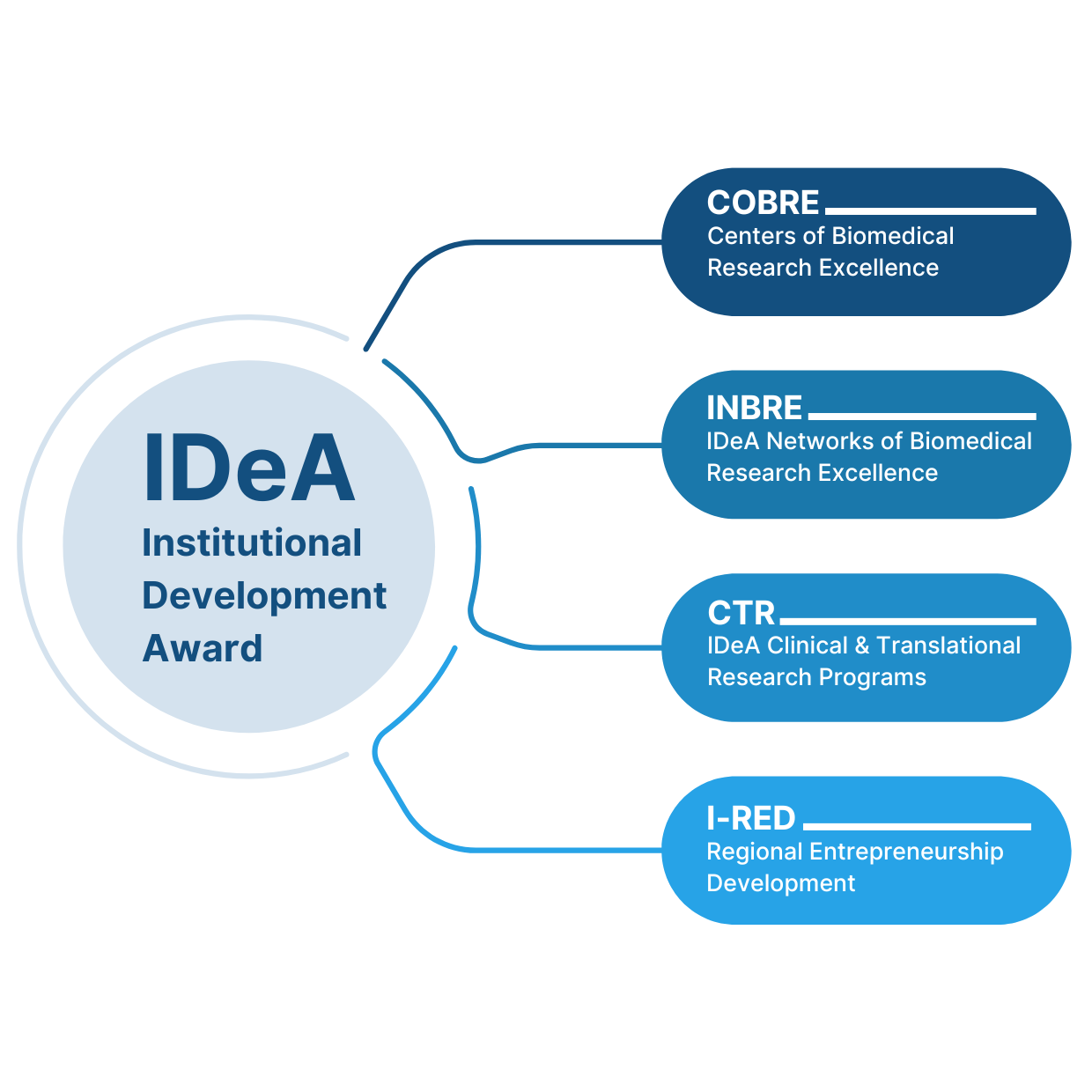 Optimizing NIH IDeA Program Management for Impact | Piestar